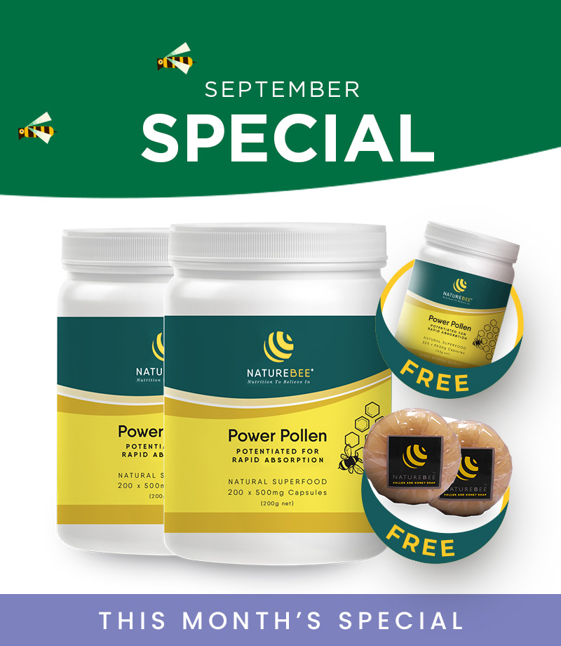NatureBee Power Pollen Partner Pack + 60 Caps + 2 Pcs Honey Pollen Soap ...