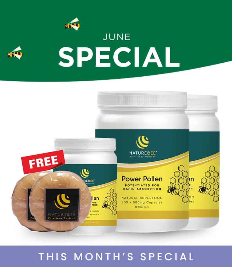 NatureBee Power Pollen Partner Pack + 60 Caps + 2 Pcs Honey Pollen Soap ...